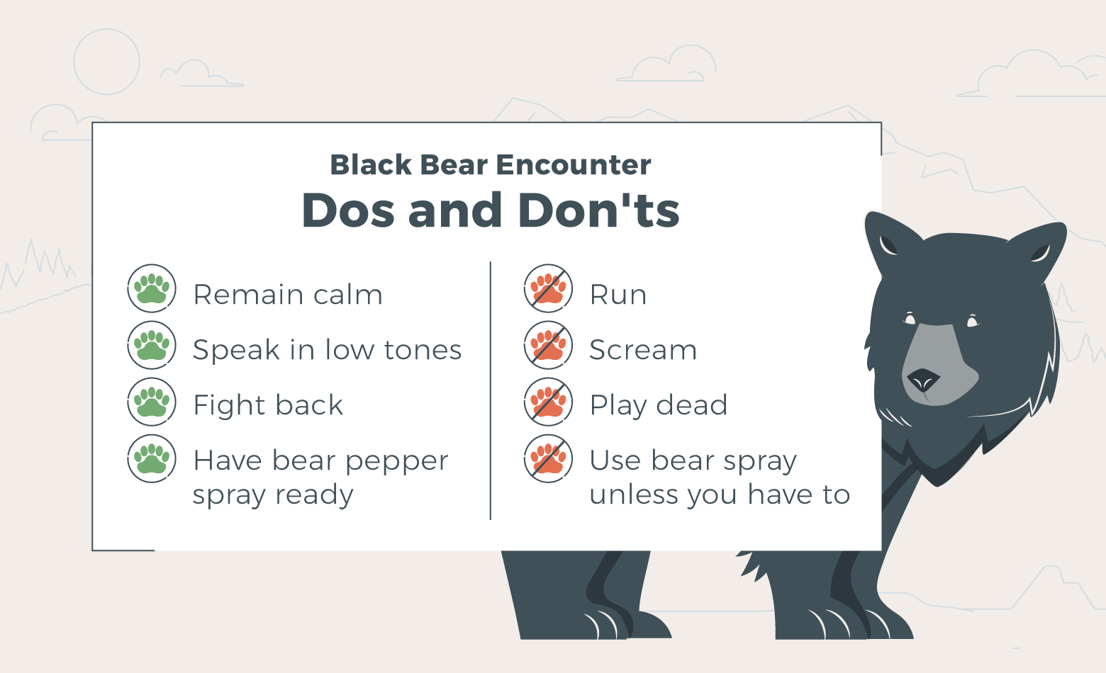 Black Bear Facts and Safety Information